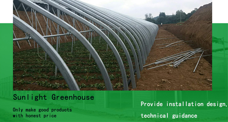 Sunlight Greenhouse-Shandong BS-Villa Construction Engineering Co., Ltd.