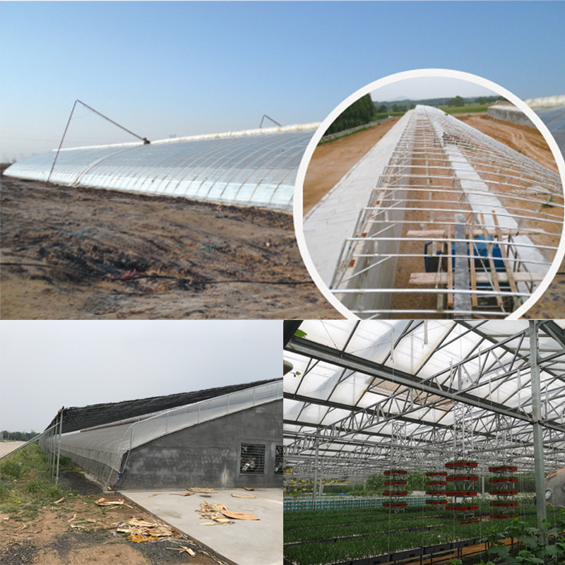 Sunlight Greenhouse-Shandong BS-Villa Construction Engineering Co., Ltd.